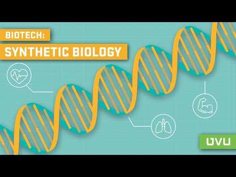 Synthetic Biology Explained in Under 2 Minutes