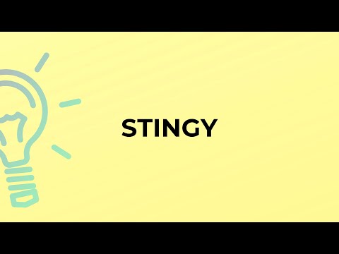 What is the meaning of the word STINGY?