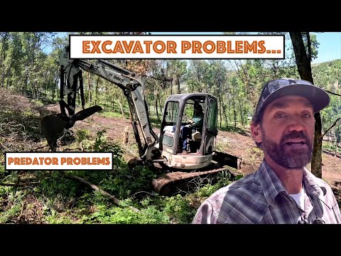 #805- Excavator Problems, Predator Problems And Drainage Problems...