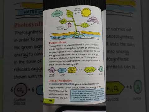 Lesson #1: Bio Terms - Greek & Latin Root Words