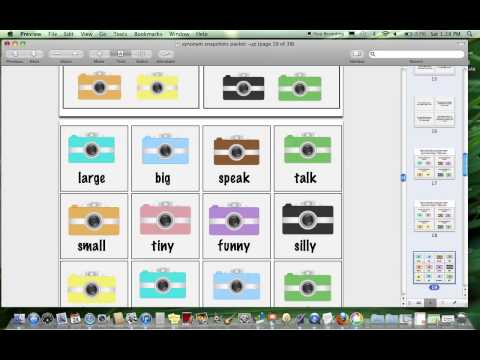 Product Preview - Synonym Snaphshots