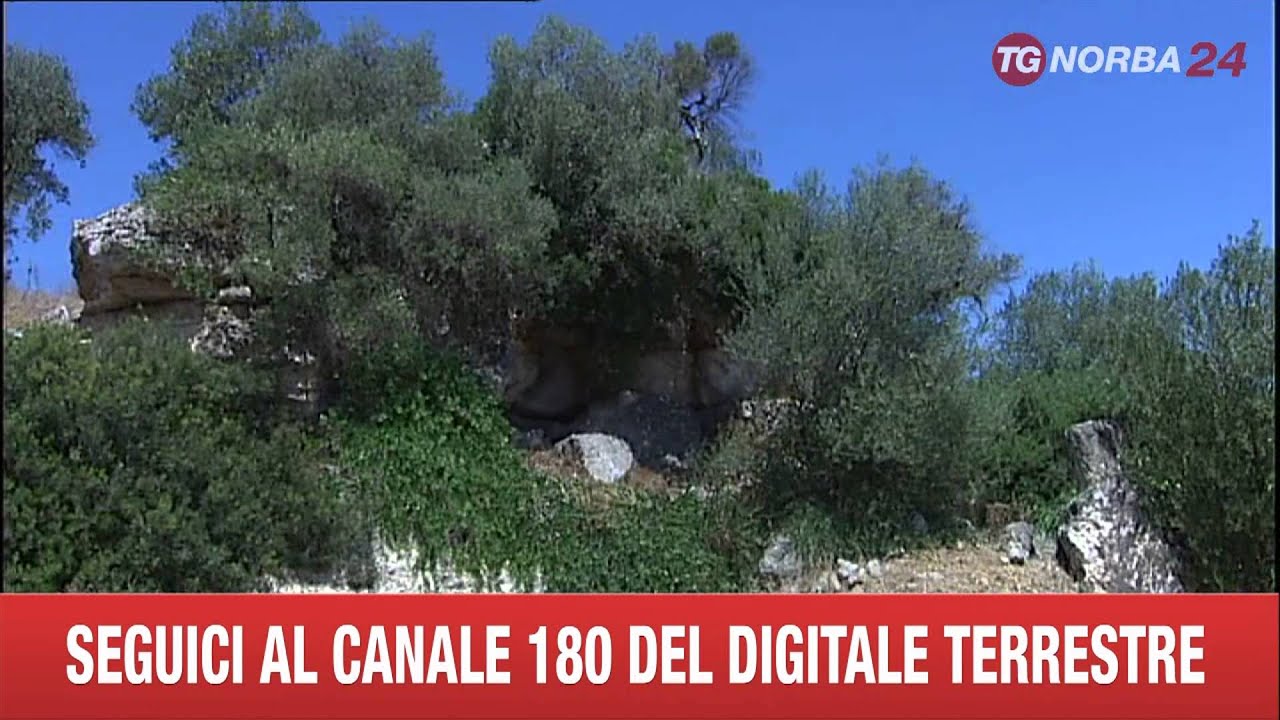 FASANO SCAVI LAMA D'ANTICO