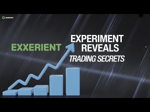 Secrets from Turtle Trading Experiment - Trading Secrets
