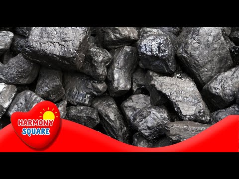 What is Coal - More Science on the Learning Videos Channel