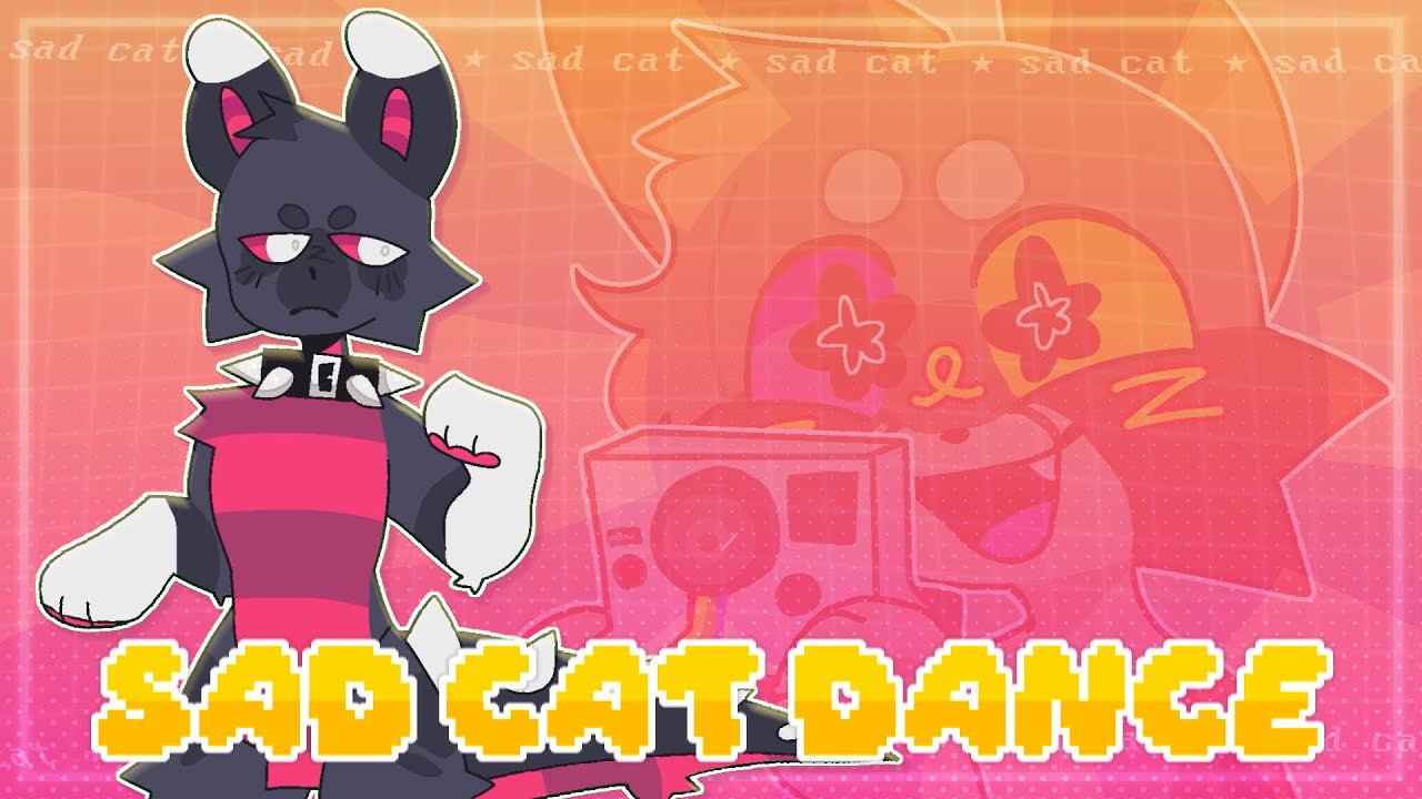 SAD CAT DANCE ✦ AM ✦ 4k Special