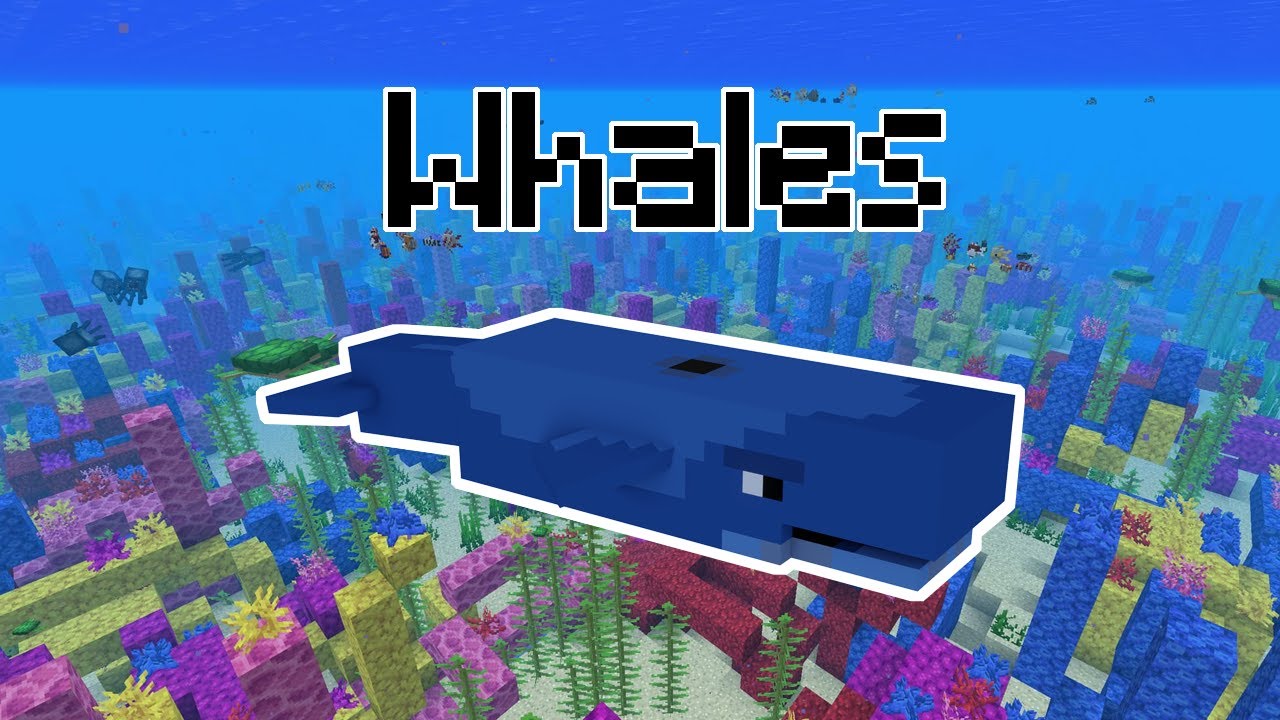 Minecraft Whale