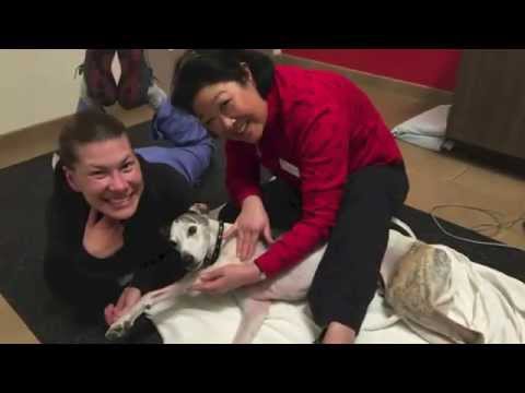 The Power of Rehabilitation: Meet VCAWLA Patient Mucho Gusto
