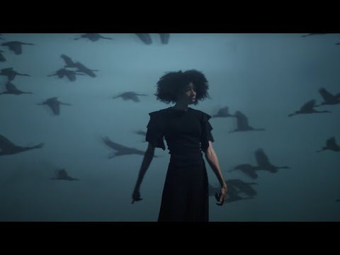 Yify Zhang - Hallelujah - AHP Music Videos