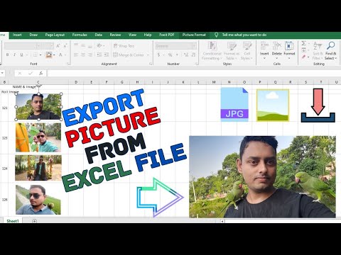 Save picture from excel | Export picture from excel |