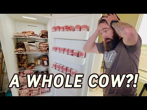 How much meat do you ACTUALLY get from a WHOLE COW?!