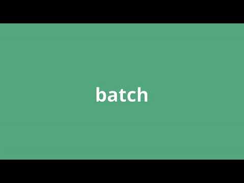what is the meaning of batch