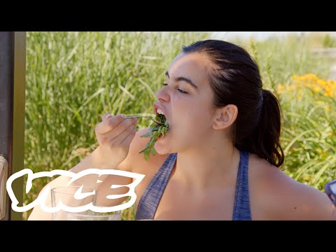 A Guide to Eating Habits | How to Behave
