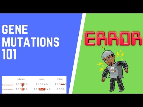 Gene Mutations 101