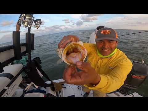 2023.05.28 Port Mansfield Texas Reds Trout Flounder