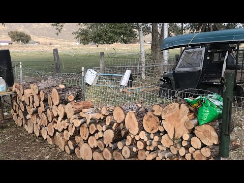 Getting more Juniper firewood