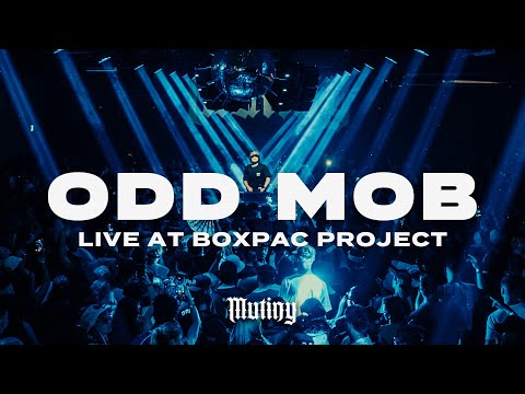 Odd Mob - Live at Boxpac Project