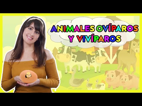 TOMi.digital - Animales oviparos y viviparos