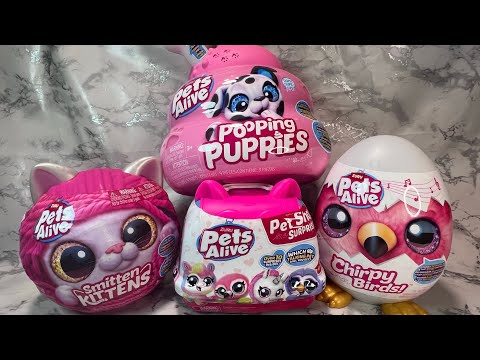 ASMR Mystery Surprise Unboxing Pets Alive Chirpy Birds Smitten Kittens Pooping Puppies Pet Shop