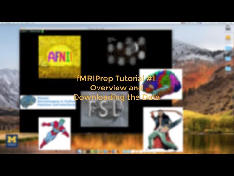 fMRIPrep Tutorial #1: Download & Install