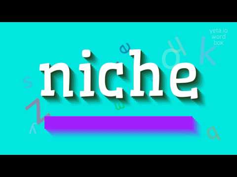 How to say "niche"! (High Quality Voices)
