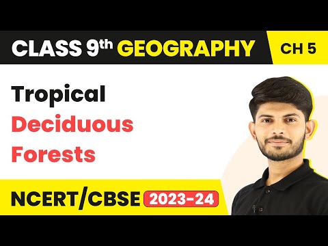 Class 9 Geography Chapter 5 | Tropical Deciduous Forests -Natural Vegetation & Wildlife