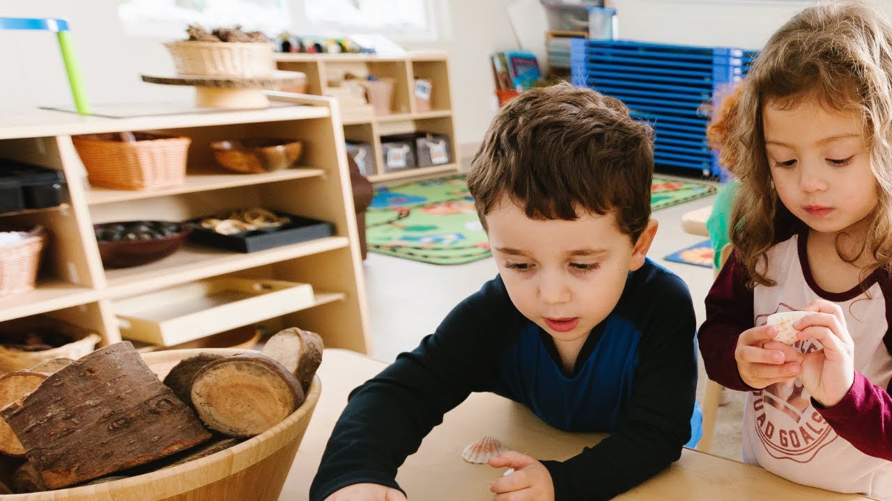 Welcome to Busy Bees!