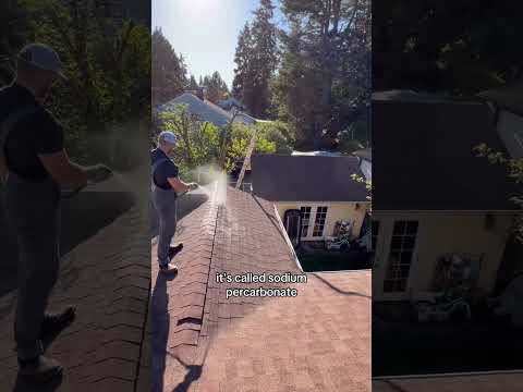 Here’s why I stopped using sodium hypochlorite…