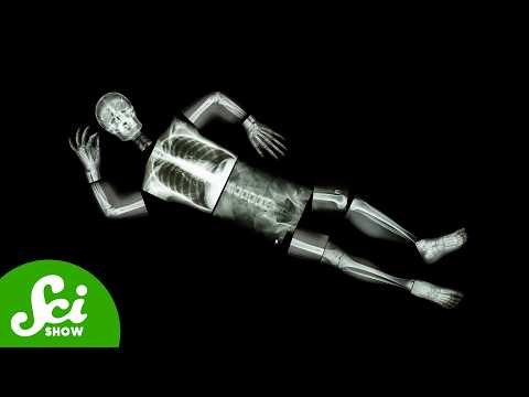 The Skeleton That Was 8 Different People