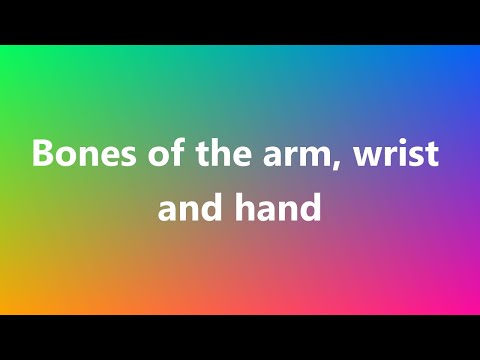 Bones of the arm, wrist and hand - Medical Definition and Pronunciation