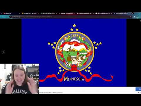Is the New Minnesota Flag a Somalia Knock-Off?