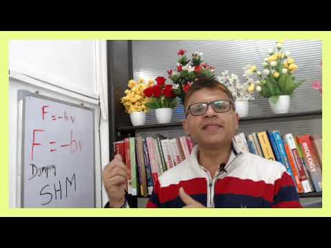 What is the Main Difference between Standard Simple Harmonic Motion and Damped Harmonic Motion