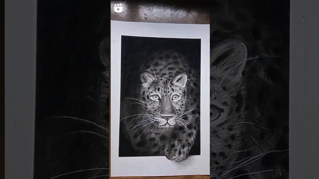 Realistic leopard drawing ll #art #drawing #leopard