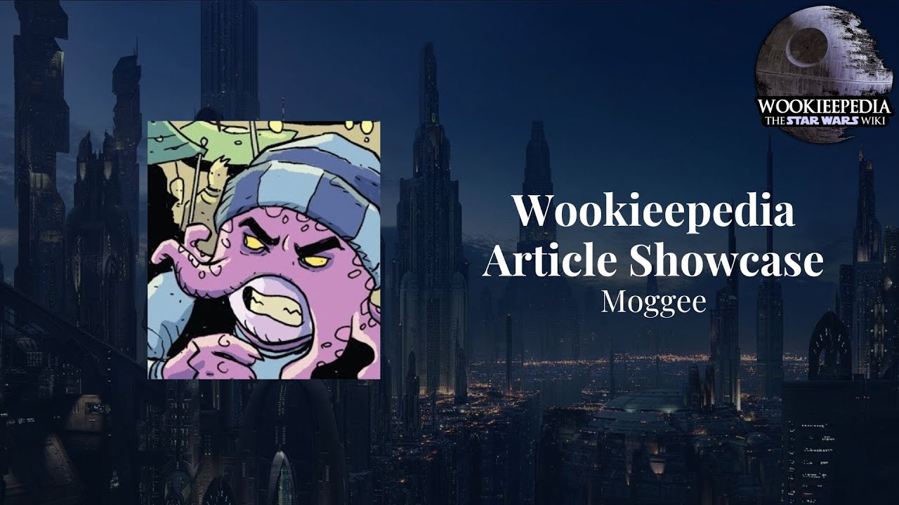 The Showcase - Moggee