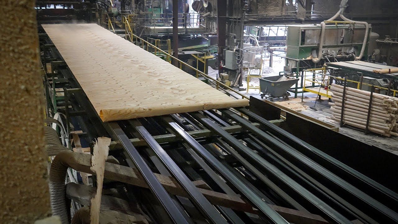 How Plywood is Made: A Veneer Mill Tour