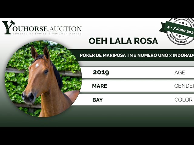 Youhorse.auction | Oeh-Lala-Rosa