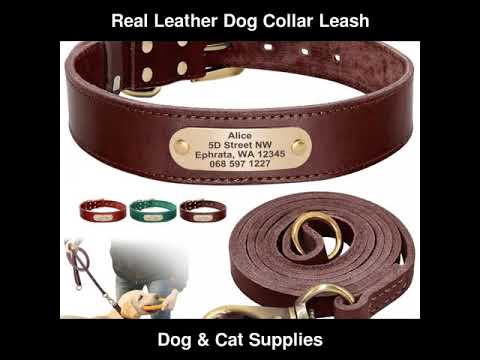 Real Leather Dog Collar Leash Set Personalized Genuine Leather Collars Leashes | Dog & Cat Supplies