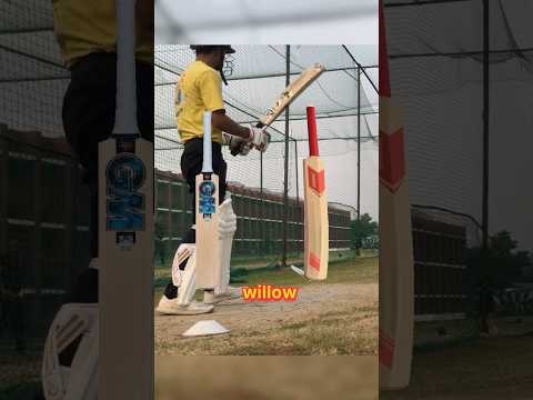 KASHMIR WILLOW or ENGLISH WILLOW??🤔#shorts#shortsfeed#shortsviral#shortstrending#cricket#subscribe