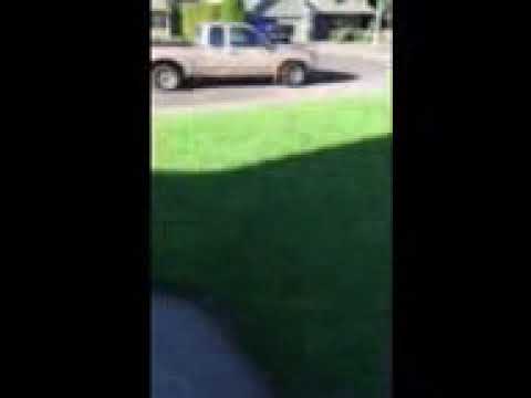 BRANDON LANDSCAPING | Video 2