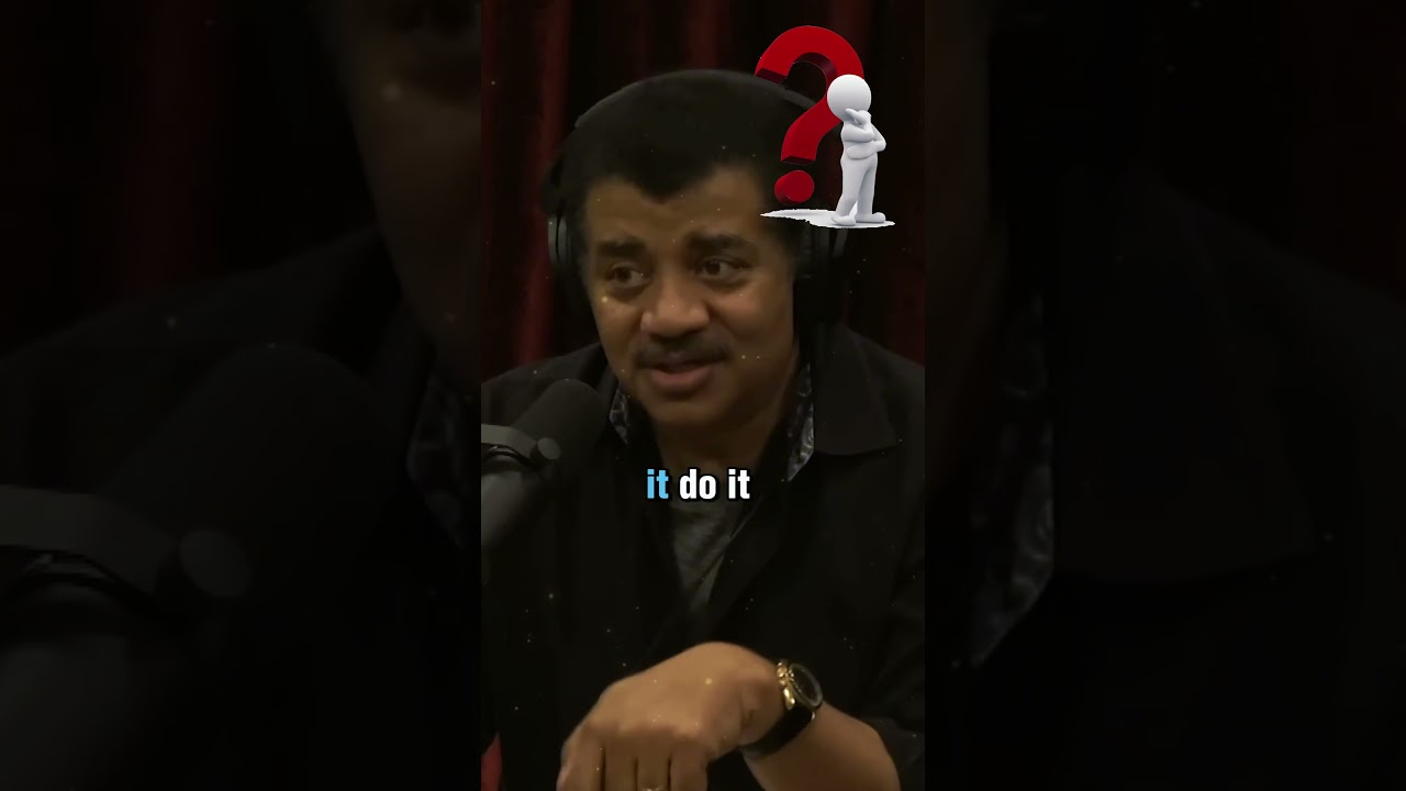 Animals Are Way Smarter Than You Think - Find Out Why! #motivation #masteringdiscipline