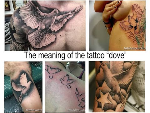 The meaning of the tattoo dove facts about drawing and photo examples for the site tattoovalue.net