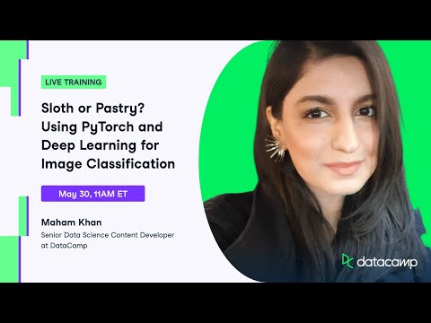 Sloth or Pastry? Using PyTorch and Deep Learning for Image Classification