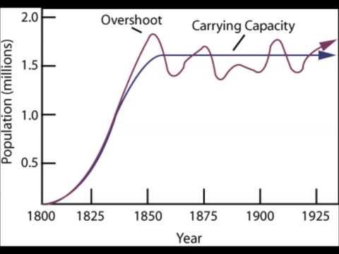 Population Dynamics: Carrying Capacity and Limiting Factors