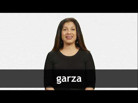 English Translation of “GARZA” | Collins Spanish-English Dictionary