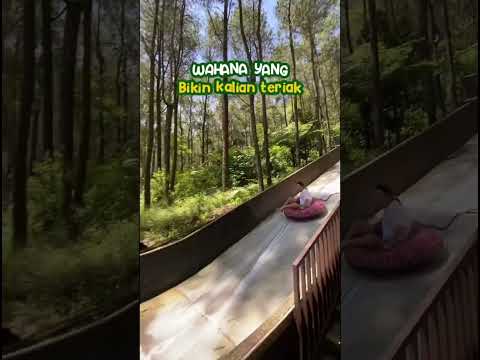 Wahana Prosotan seru di Kopeng Treetop Adventure Park #kopengtreetop #wisatakopeng