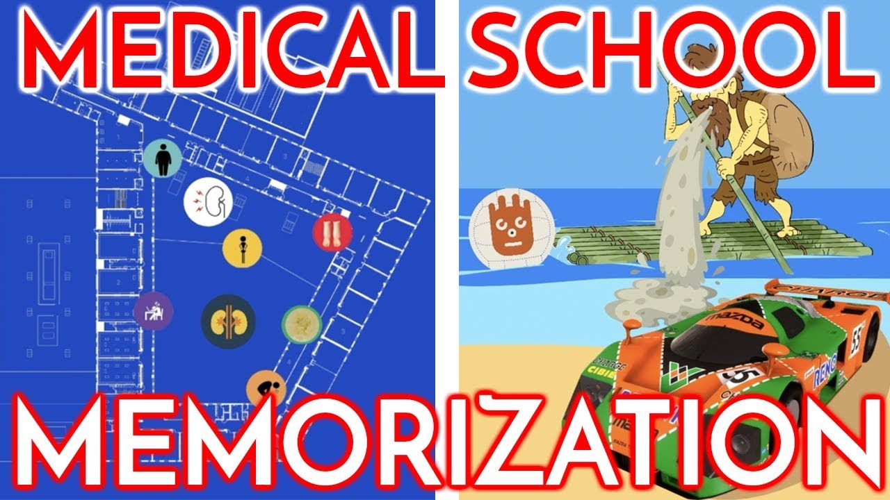 How I Memorized Everything & Aced Medical School | 3 Memory Techniques
