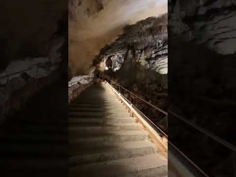 the first cruise stop in ๐Palma de Mallorca, Spain ๐ช๐ธ