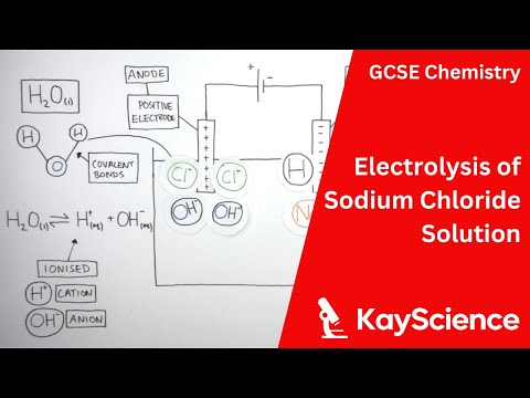 Electrolysis of Sodium Chloride Solution - GCSE Chemistry | kayscience.com