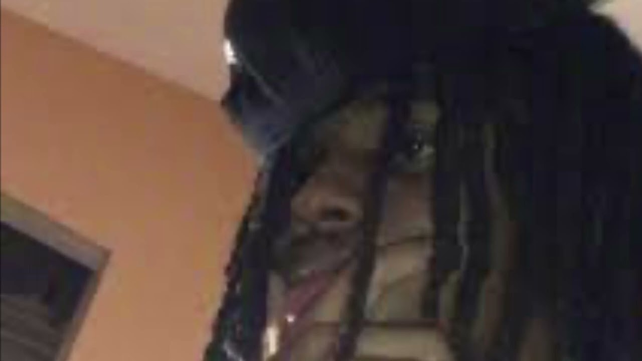 Sofaygo- Never Fold (faygo only)