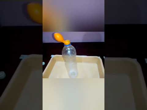 Blow Balloon with Baking soda and Vinegar #Science Project #sciencefairproject #scienceexperiment