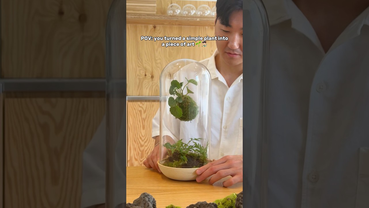 how I turned a plant into a living art 🌱🧑‍🎨